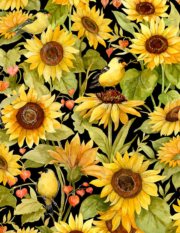 Sunflower Splendor Birds & Sunflowers on Black – Alamosa Quilt Company